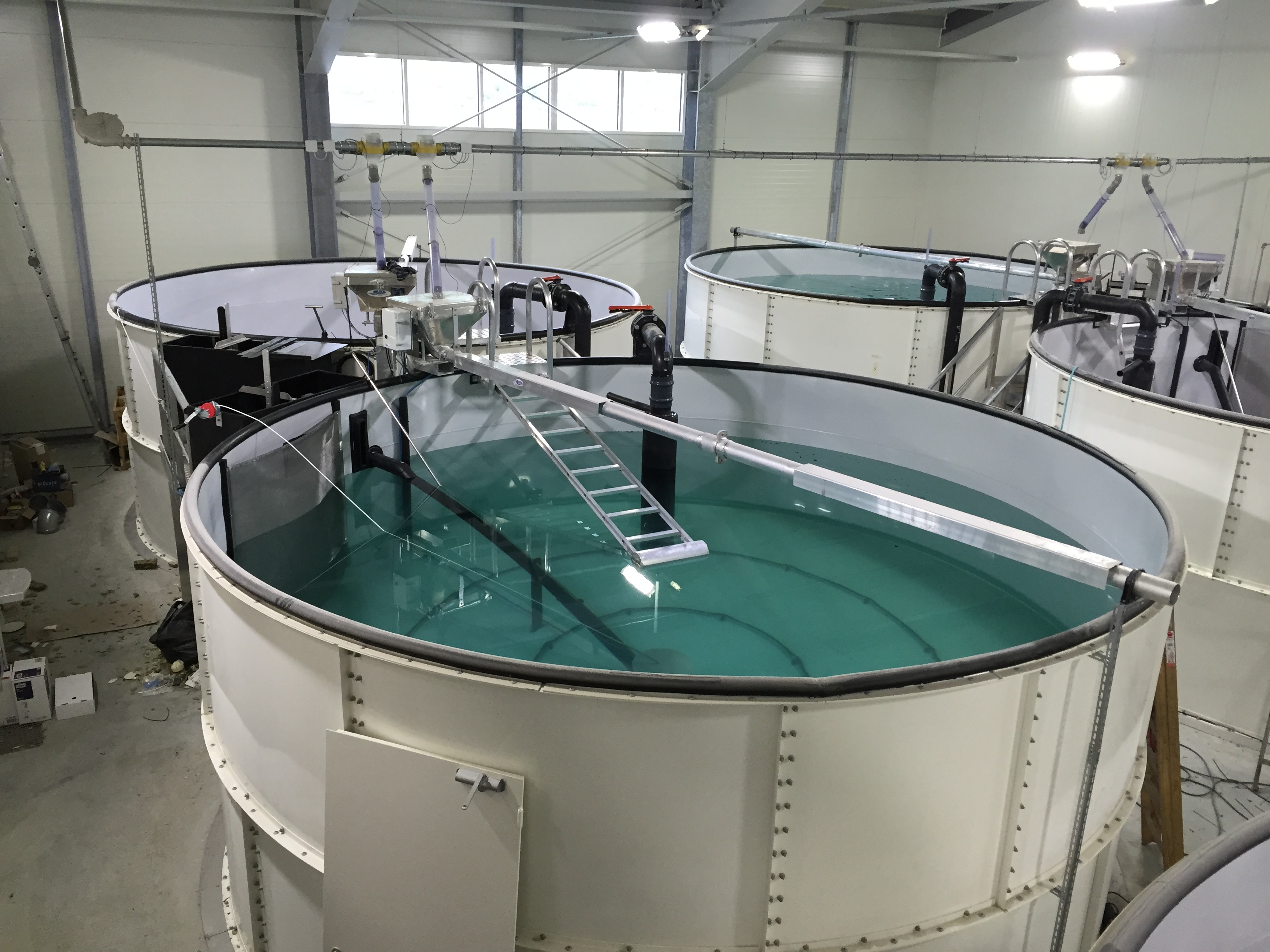 Services – Cspipesolutions